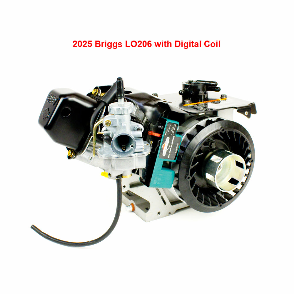 Briggs LO206 Racing Engine, Box Stock for Karting, Briggs 206 - Shop ...