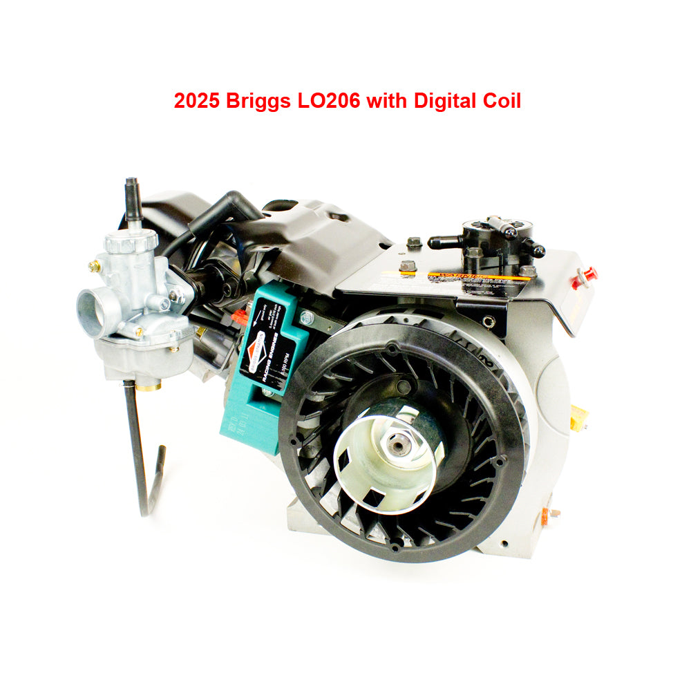Briggs LO206 Racing Engine, Box Stock for Karting, Briggs 206 - Shop ...
