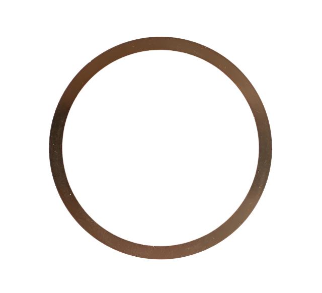 (30) IA-30407 Bearing Shim .10mm Leopard - Comet Kart Sales
